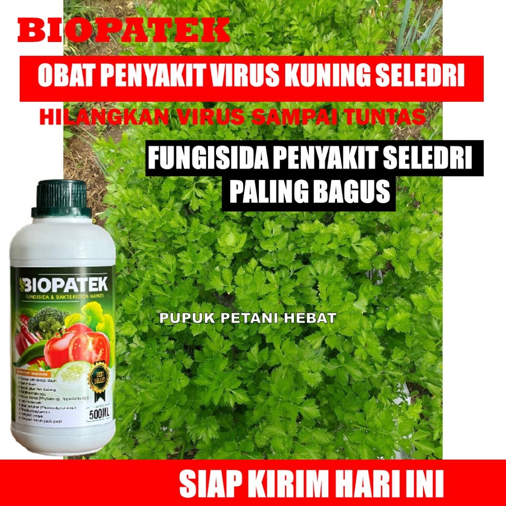 Jual 500 ML BIOPATEK Obat Hama Patek/Antraknosa Seledri, Fungisida ...