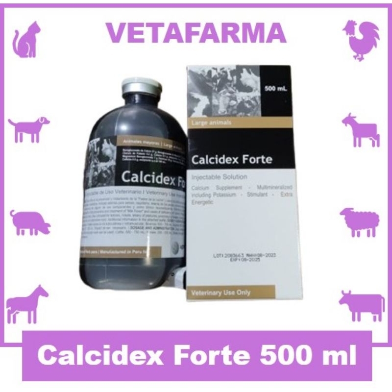 Jual Calcidex Forte 500 ml (Mineral Kalsium) | Shopee Indonesia