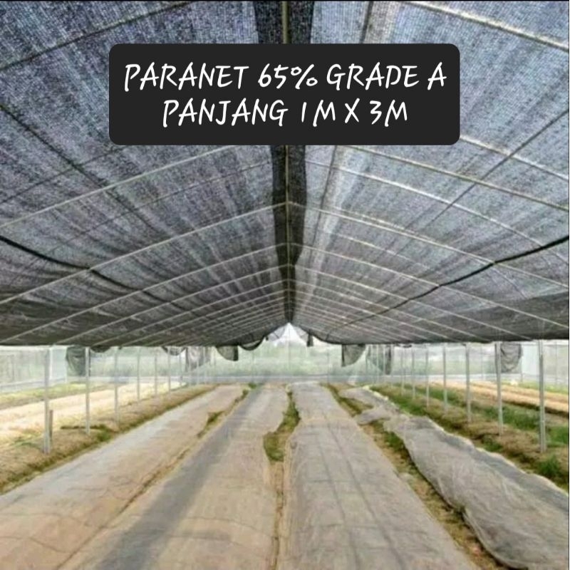 Jual JARING PARANET 65% GRADE A KUALITAS SUPER ( Panjang 1 meter x ...