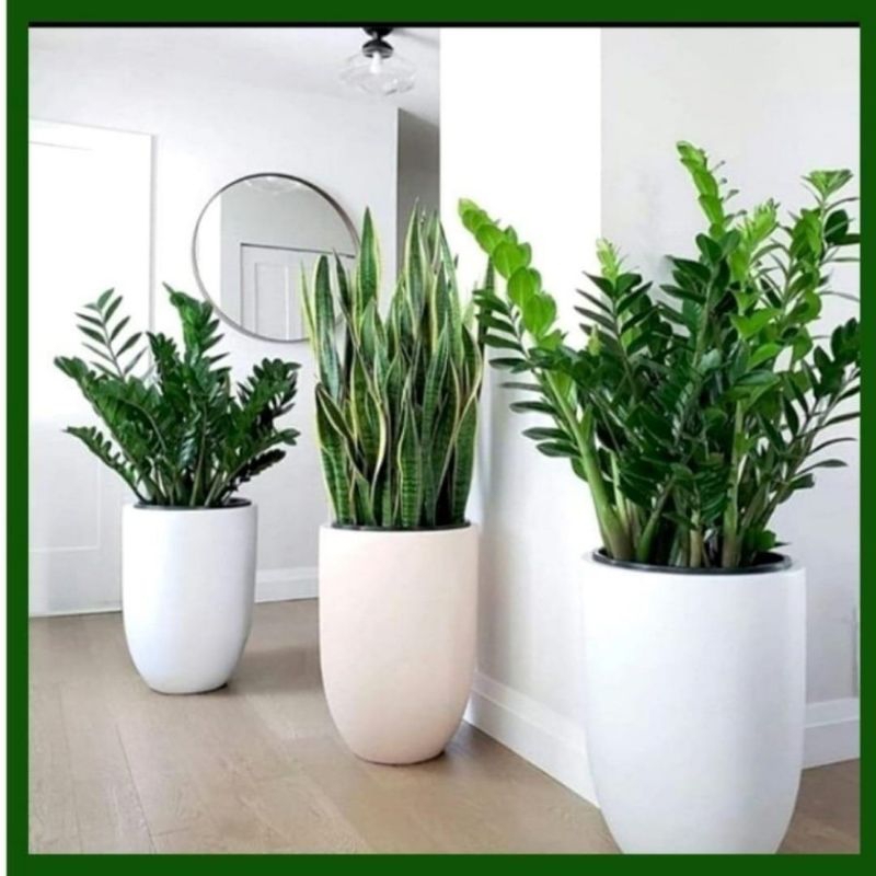 Jual Pot gerabah Pot terakota Pot tanaman Vas bunga hias pot hotel pot ...