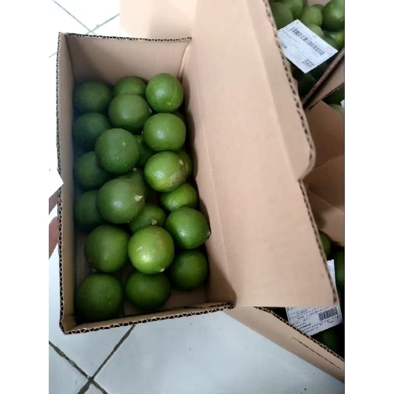 Jual Jeruk nipis 1 kg / jeruk nipis Jawa/ jeruk nipis segar / jeruk ...