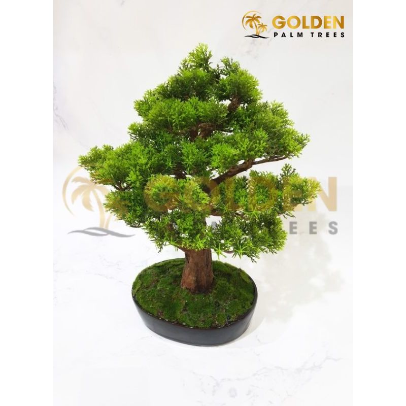 Jual Pohon bonsai artificial + pot | Shopee Indonesia