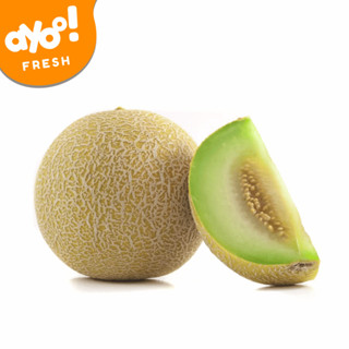 Jual Melon Inthanon 1.2 - 1.4 kg | Shopee Indonesia