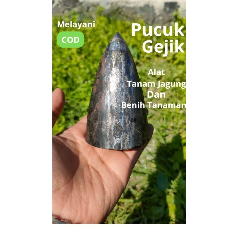 Jual Pucuk Gejik Besi ,Gejik Tanam gejik jagung pucuk ponjo Panjang ...