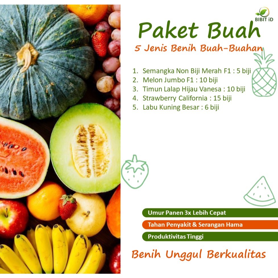 Jual Benih Tanaman Buah Bibit Semangka Melon Strawberry Timun Waluh ...