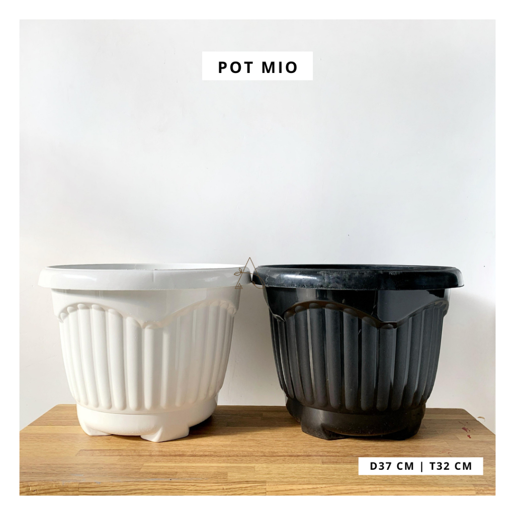 Jual Pot Mio D37 | Pot Plastik | Pot Tanaman | Pot Besar | Shopee Indonesia