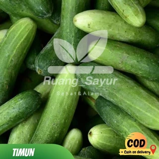 Jual Timun 1 Kg Terlengkap & Harga Terbaru Desember 2025 | Shopee Indonesia