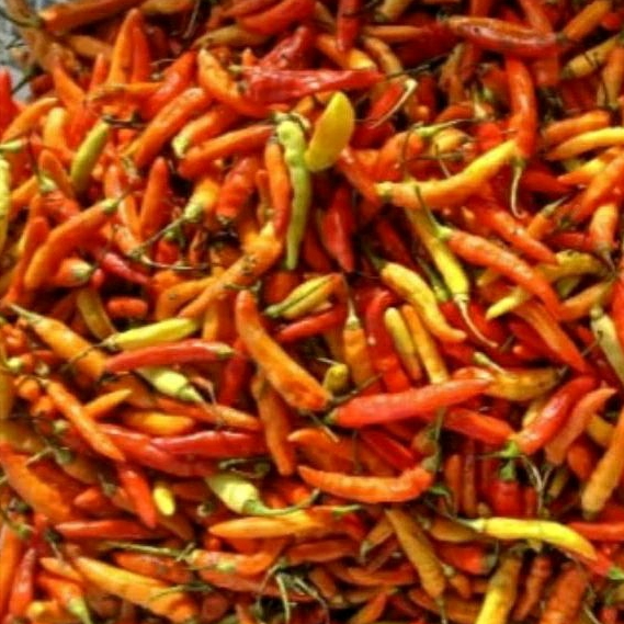 Jual CABE RAWIT SETAN SUPER HARGA PER KG | Shopee Indonesia
