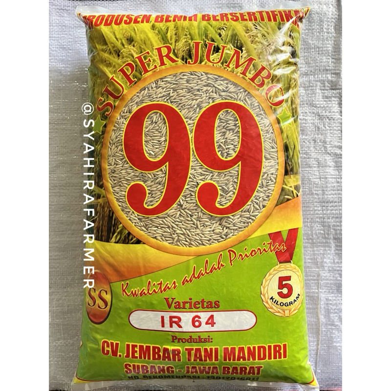 Jual BENIH PADI IR 64 SUPER JUMBO | Shopee Indonesia