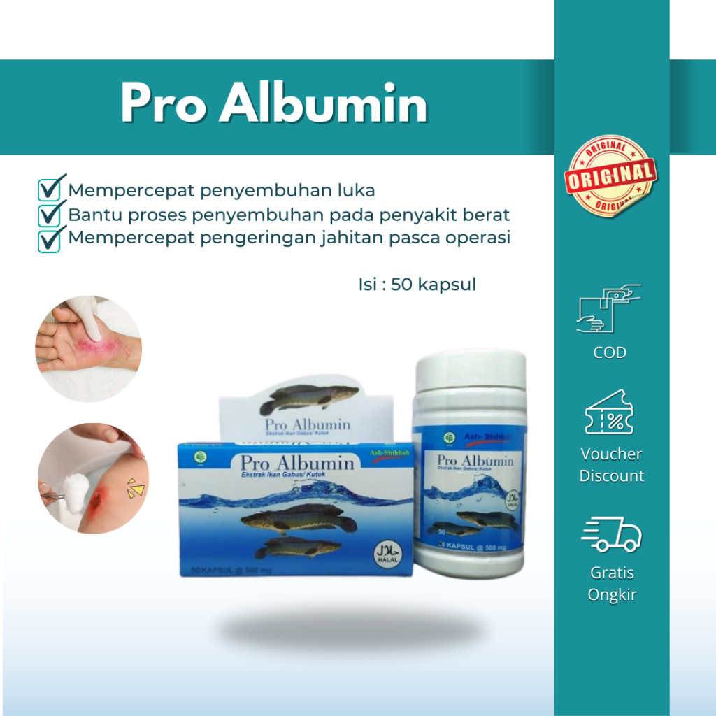 Jual PRO ALBUMIN EKSTRAK IKAN GABUS KUTUK KAPSUL isi 50 kapsul 100 % asli original | Shopee ...