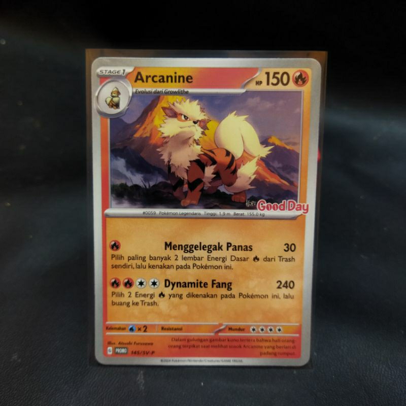 Jual Arcanine Promo card Good Day Original Pokemon TCG Indonesia ...