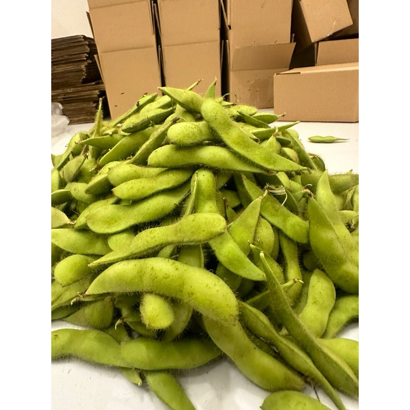 Jual EDAMAME SUPER | Shopee Indonesia