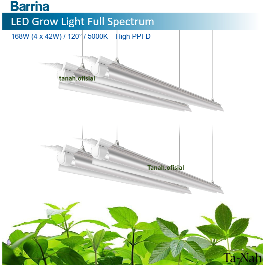 Jual Barrina T8 Batten 42W 120cm 5000K 270° LED Grow Light Full ...