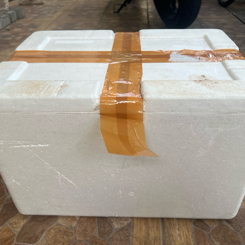 Jual Styrofoam / Sterofoam / Staerofoam /Starofoam / Gabus / Box Ikan ...