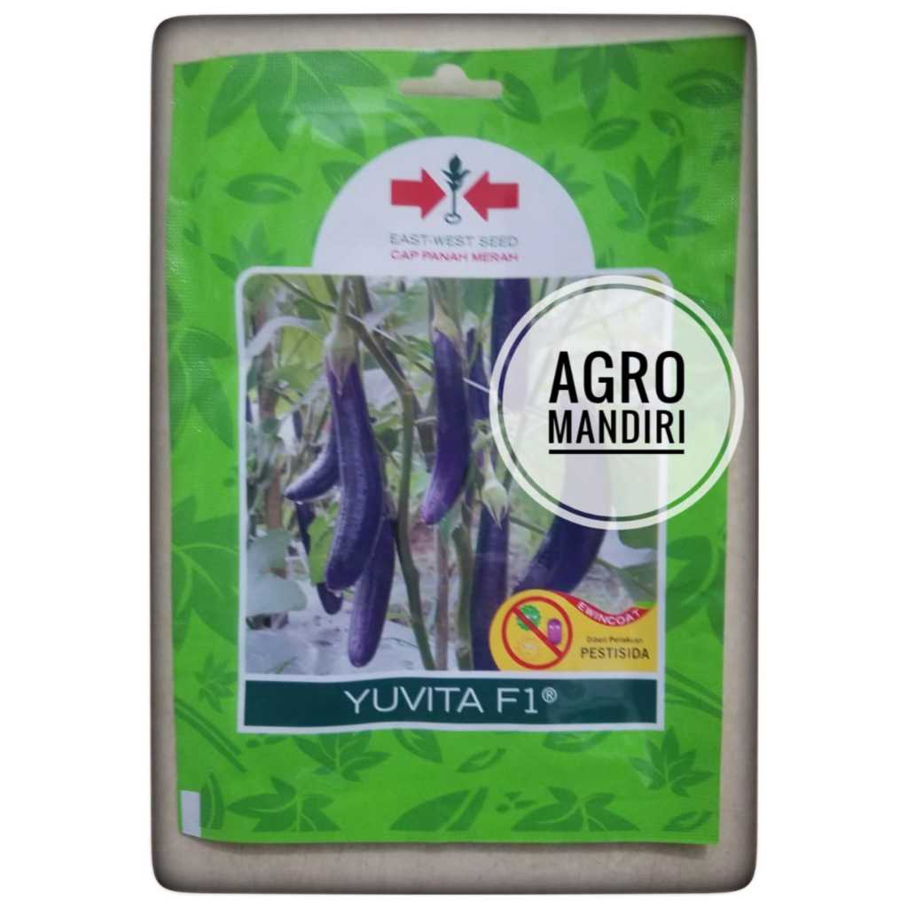 Jual Bibit Terong Ungu Yuvita F1 isi 400 Benih Kemasan Small Pouch SP Asli Pabrik Tahan Virus ...