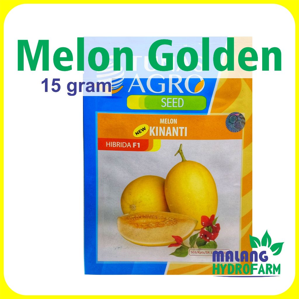 Jual Benih Melon Golden New Kinanti 15 G Tunas Agro Dataran Rendah Biji Bibit Buah Unggulan ...