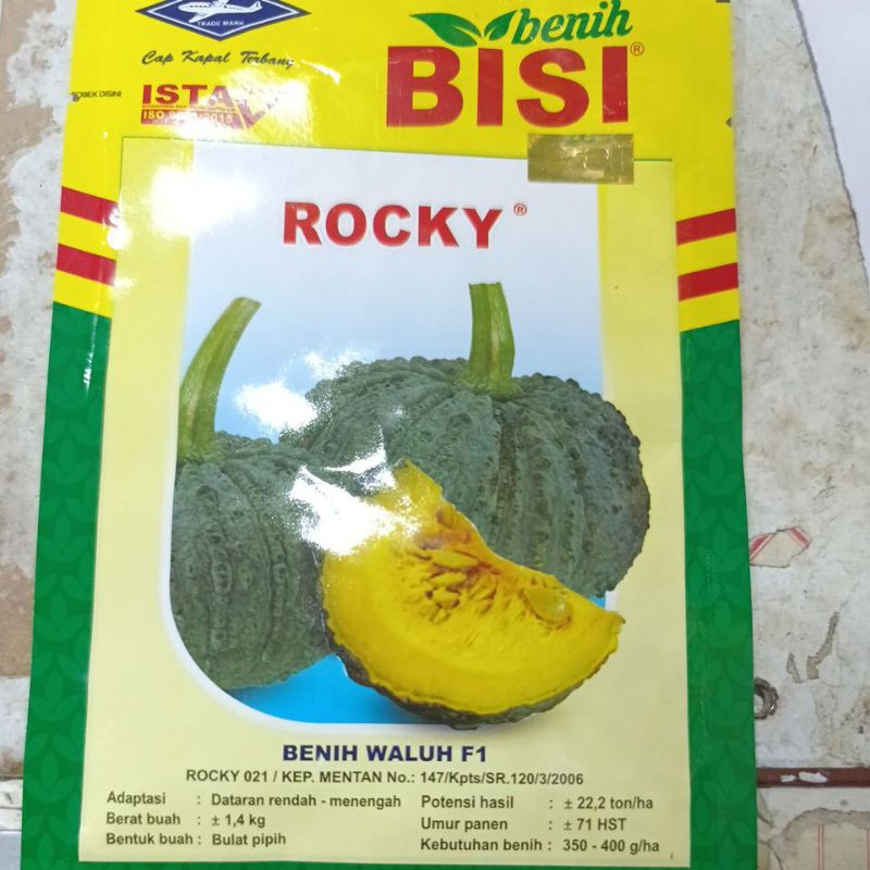 Jual Benih Waluh/Labu Rocky Cap Kapal Terbang 5 Gram. | Shopee Indonesia