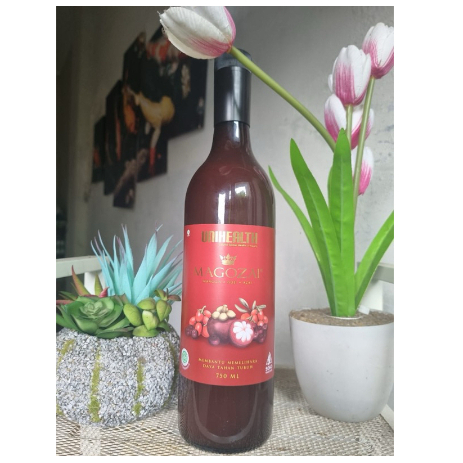 Jual Magozai 750ml Raja antioksidan original 100% Termurah | Shopee ...