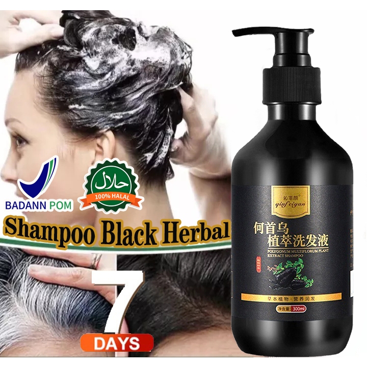 Jual Shampo Penghilang Uban Black Herbal Natural Polygonum Multiflorum ...