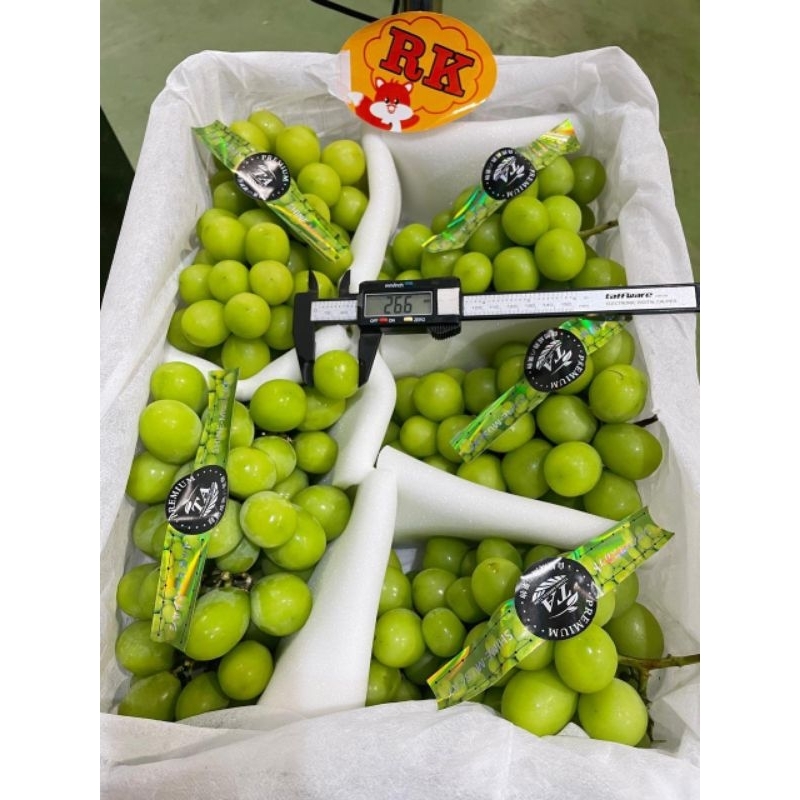 Jual ON PROMO SHINE MUSCAT KEMASAN pack (500gr) | Shopee Indonesia