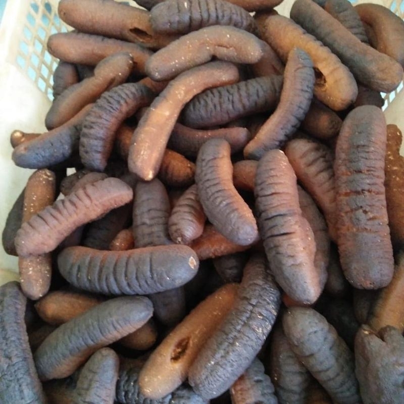 Jual Haisom Bangka belitung / Teripang gosok Super 500gram | Shopee ...