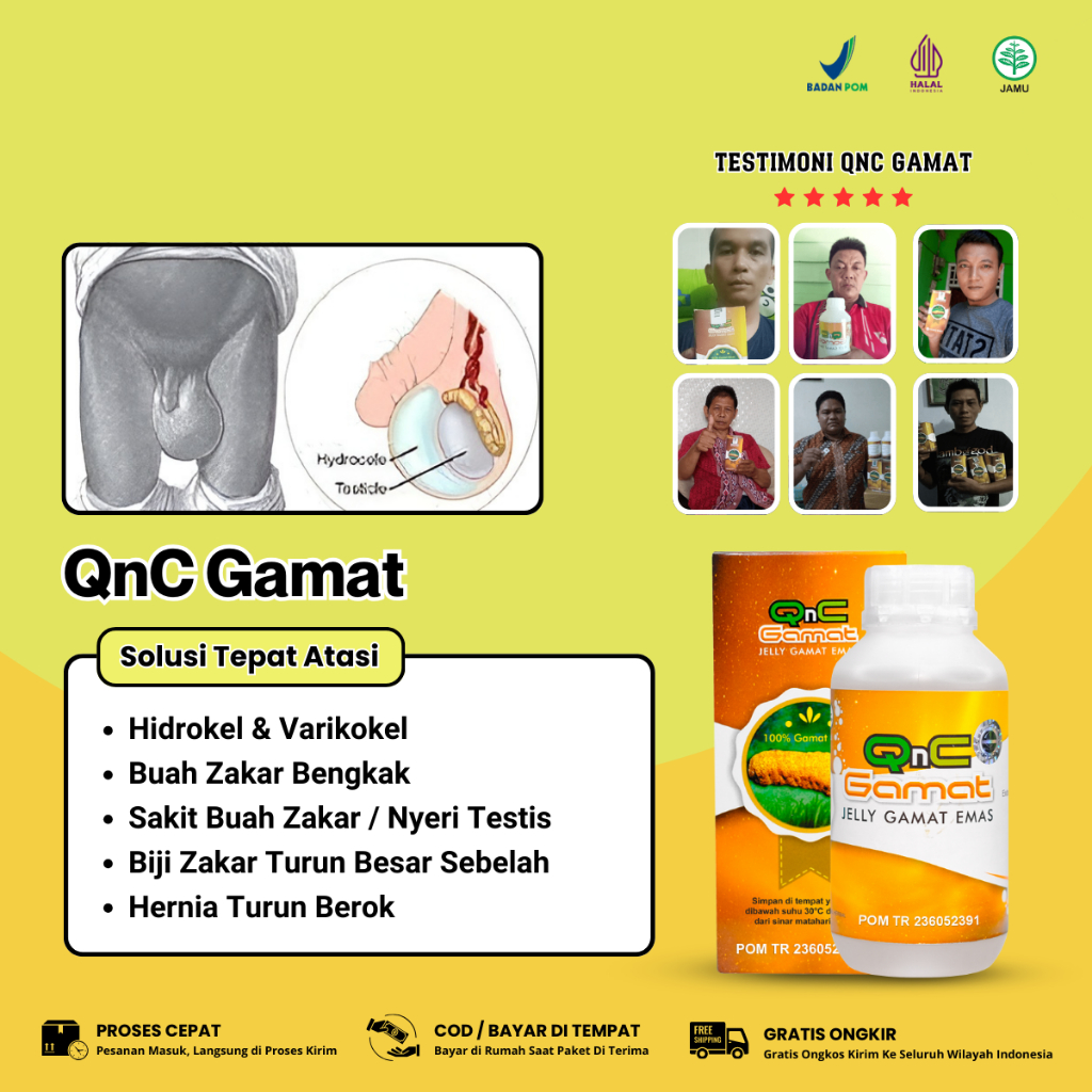 Jual Obat Hidrokel Varikokel Buah Zakar Bengkak Nyeri Biji Zakar Testis ...