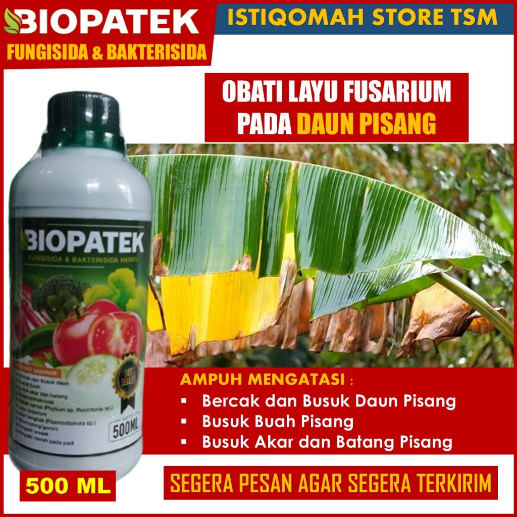 Jual LAYU FUSARIUM DAUN PISANG Bukan Lagi Masalah dengan BIOPATEK 500ml - Pupuk Semprot ...