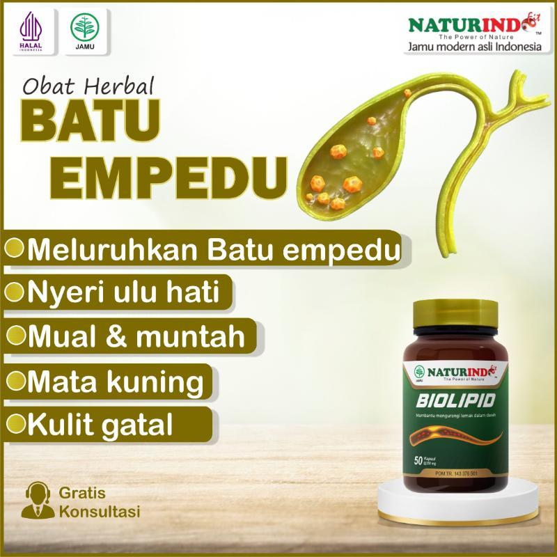 Jual Obat Penghancur Batu Empedu Herbal Pelarut Batu Empedu Biolipid ...