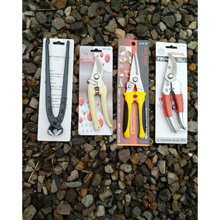 Jual Update Hemat paket alat bonsai gunting dahan gunting ranting ...
