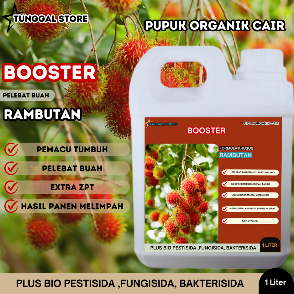 Jual PUPUK ORGANIK CAIR TANAMAN RAMBUTAN, BOOSTER PELEBAT BUAH RAMBUTAN,PUPUK PERANGSANG MASA ...