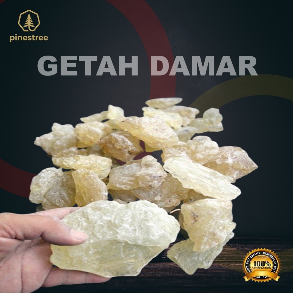 Jual Getah Damar / Mata Kucing / Shora Jevanica / Mustaki / Gum Damar ...