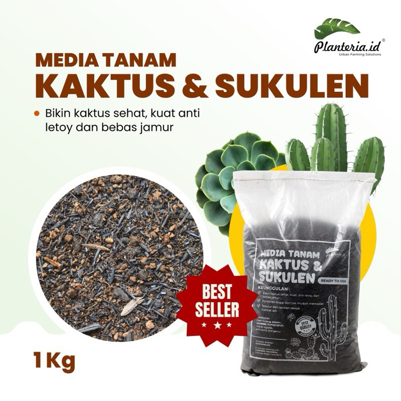 Jual media tanaman khusus kaktus isi ( 1000 gram ) | Shopee Indonesia