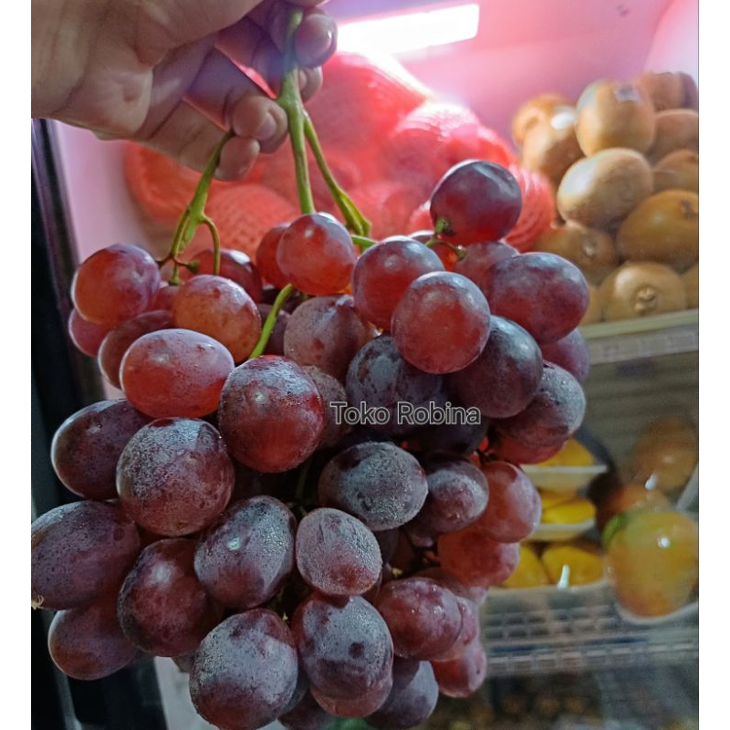 Jual Anggur Red Globe 250 gr | Shopee Indonesia