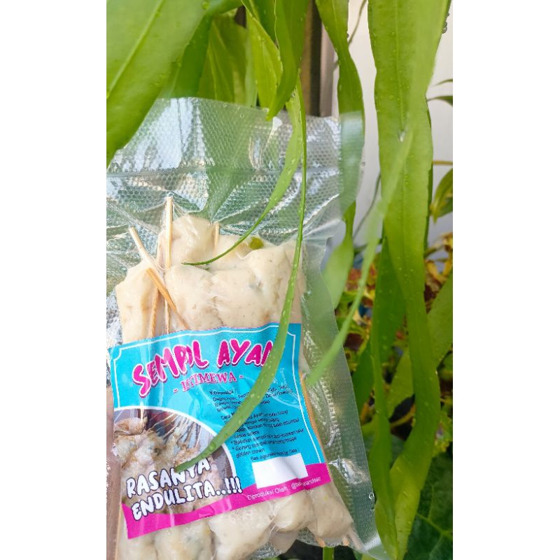 Jual Sempol Ayam Tusuk (Frozen) | Shopee Indonesia