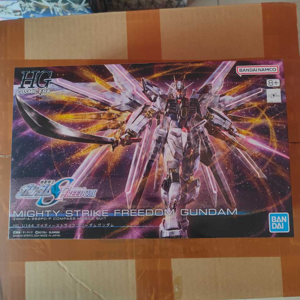 Jual BANDAI HG 1/144 MIGHTY STRIKE FREEDOM GUNDAM - GUNDAM SEED FREEDOM | Shopee Indonesia