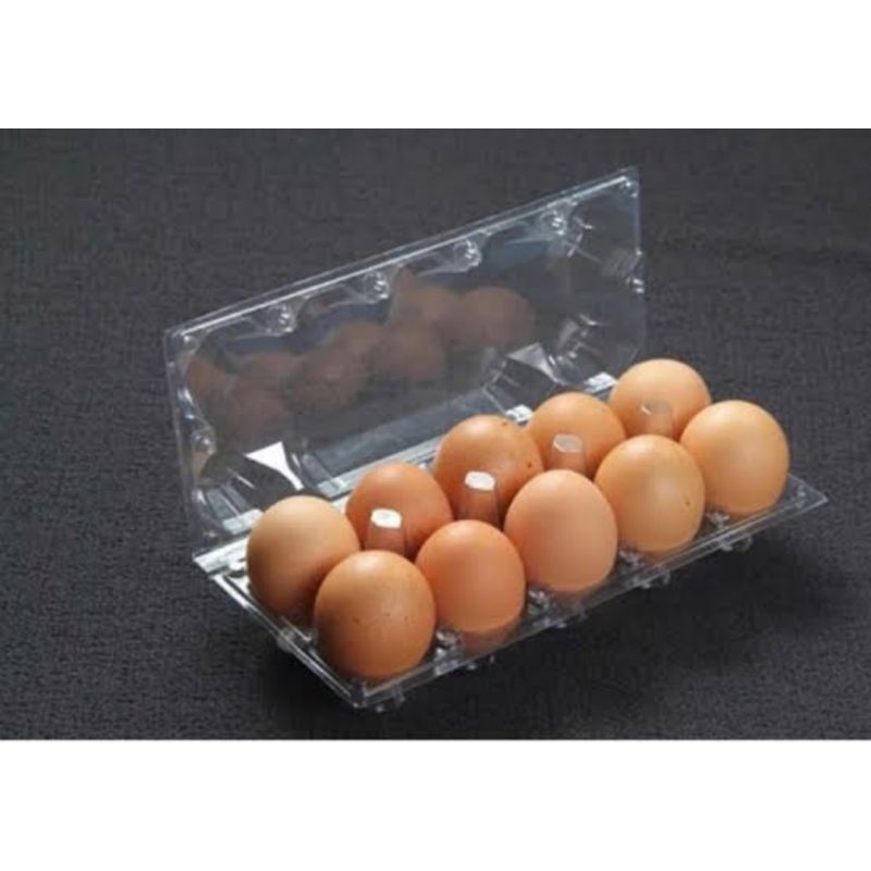 Jual Telur Ayam Negeri 1 pack isi 10 butir | Shopee Indonesia