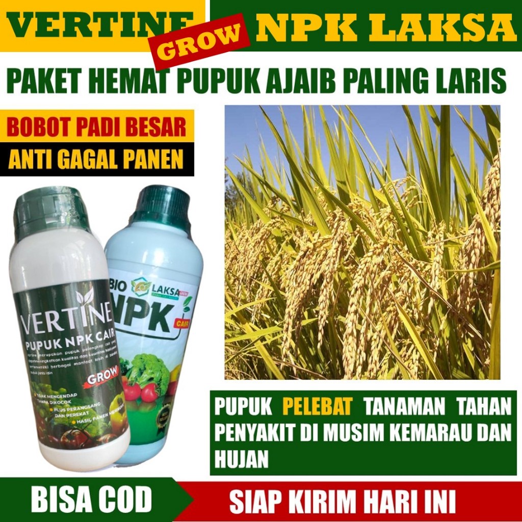 Jual (PUPUK PADI TERBAIK) AMPUH MELEBATKAN PADI 1 VERTI GROW & 1 NPK LAKSA-GROW AMPUH MELEBATKAN ...