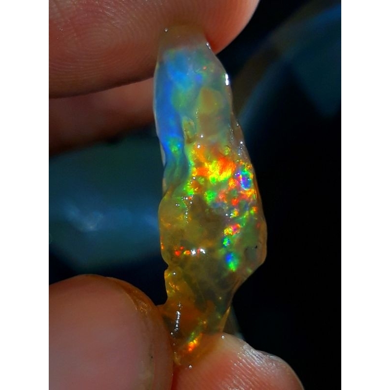 Jual bahan kalimaya banten siki jenis teh jarong top berkualitas jarong ...