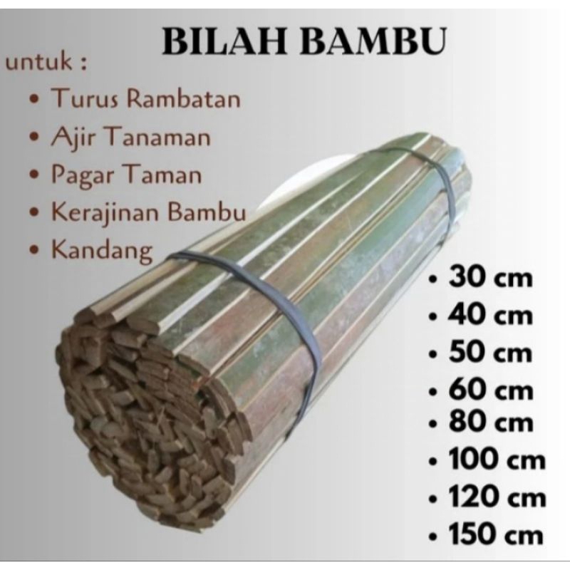 Jual Bilah Bambu Ajir Turus Tiang Belah Tanaman Dan Pagar | Shopee ...