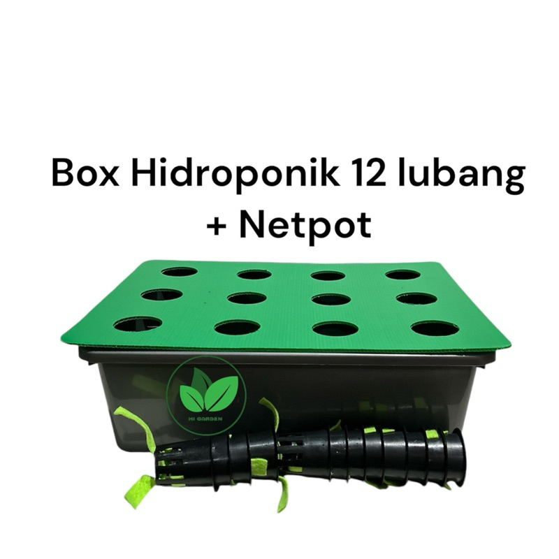 Jual Box Hidroponik 12 Lubang dengan netpot dan sumbu | Shopee Indonesia