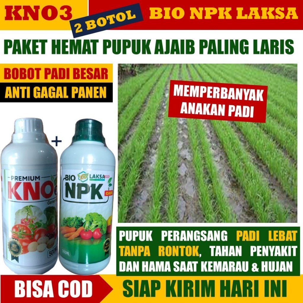 Jual 1 Botol KNO3 & 1 Botol NPK LAKSA Grow PUPUK NPK CAIR Pelebat Anakan Padi Lebih Banyak, Obat ...