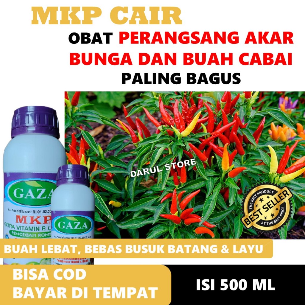 Jual OBAT PELEBAT TANAMAN CABAI/CABE & Jenis CABE RAWIT Lainnya MKP GAZA Cair Plus - OBAT ...