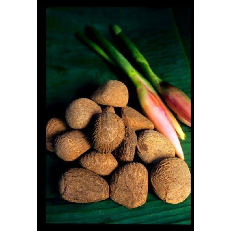 Jual picung / keluak,kluwek fresss 1kg jual mentah masih ada batok nyah ...