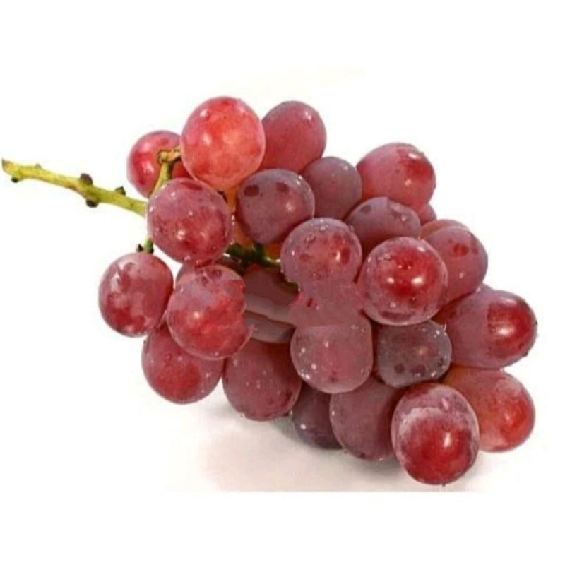 Jual Buah Anggur Merah 500 - 1000 gr | Shopee Indonesia