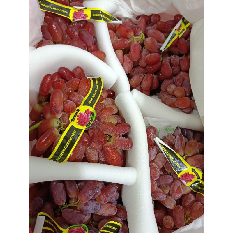 Jual Buah anggur jari tanpa biji/red | Shopee Indonesia