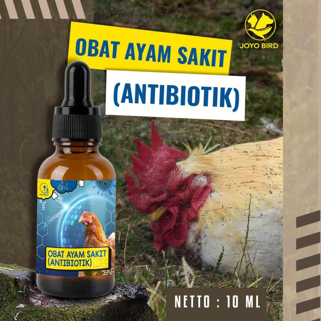 Jual OBAT AYAM SAKIT (ANTIBIOTIK) | METABOLISME | SERUM ANTIBIOTIK ...