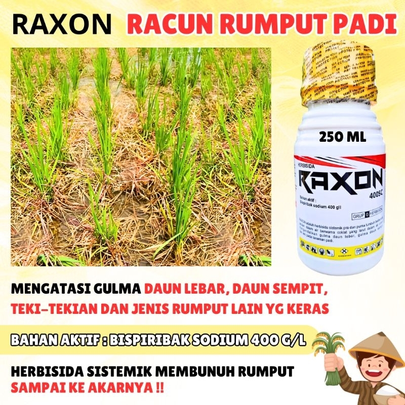 Jual 𝗛𝗘𝗥𝗕𝗜𝗦𝗜𝗗𝗔 𝗦𝗜𝗦𝗧𝗘𝗠𝗜𝗞 𝗣𝗔𝗗𝗜 - Raxon Racun Rumput Padi | Shopee Indonesia