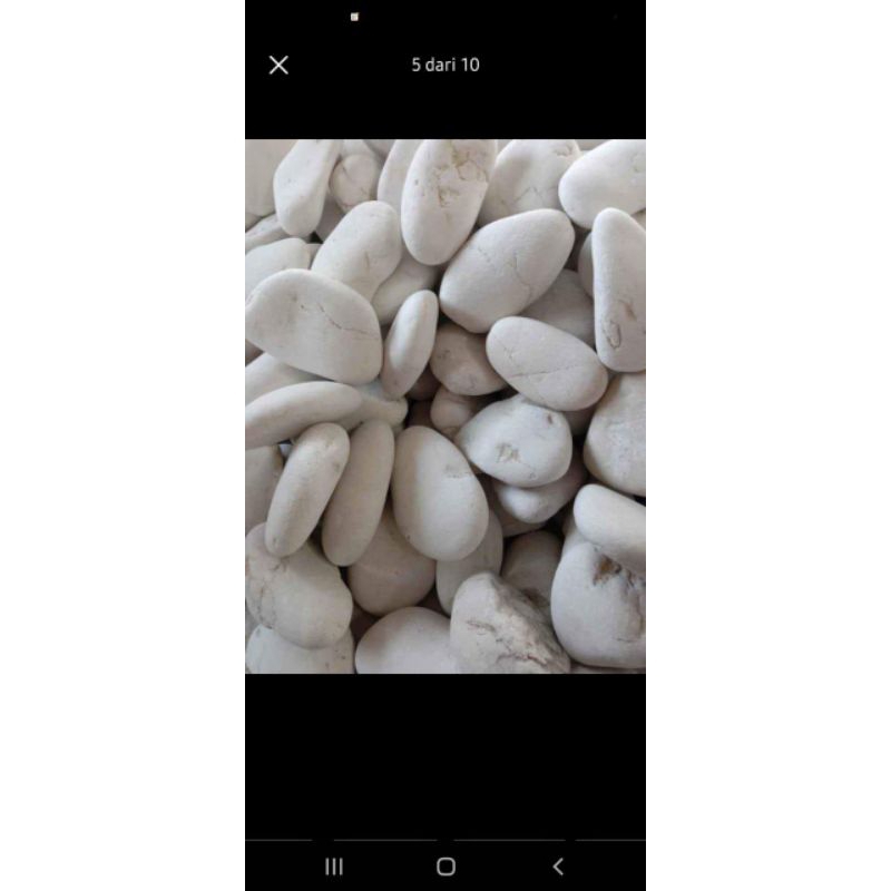 Jual batu taman putih batu aquarium batu hias | Shopee Indonesia