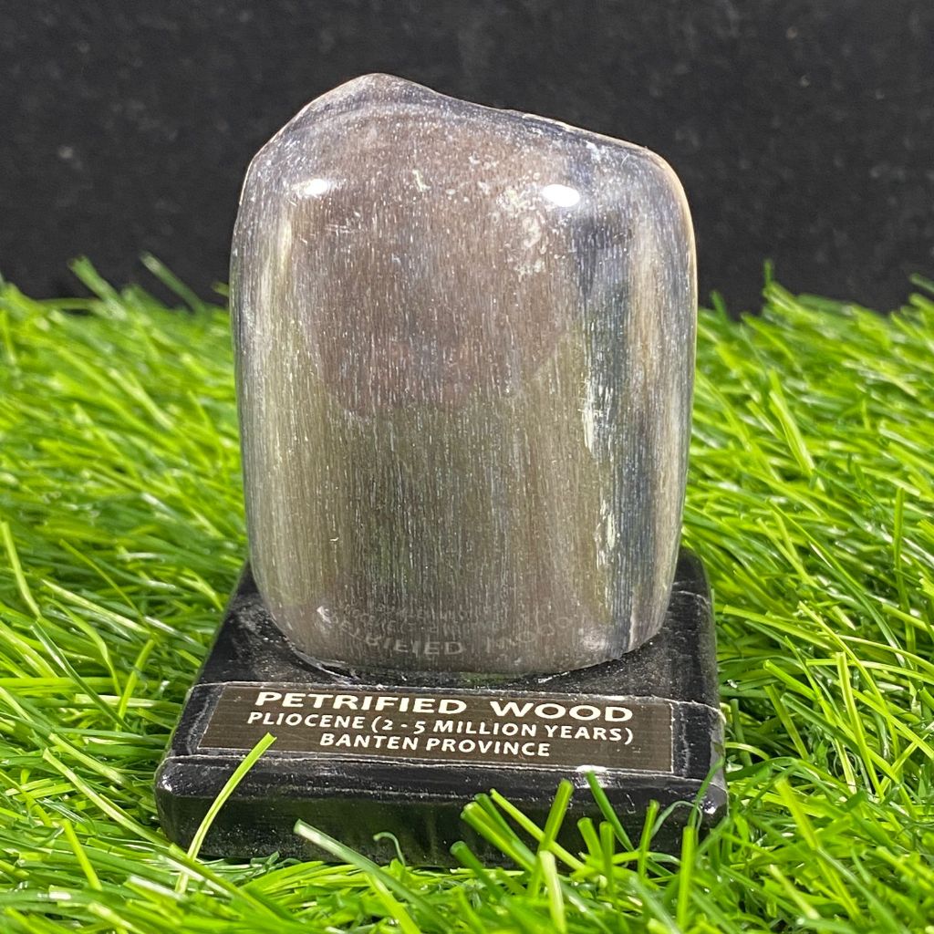 Jual 116GR Natural Petrified Wood - Batu Koleksi Fosil Kayu - Gems ...