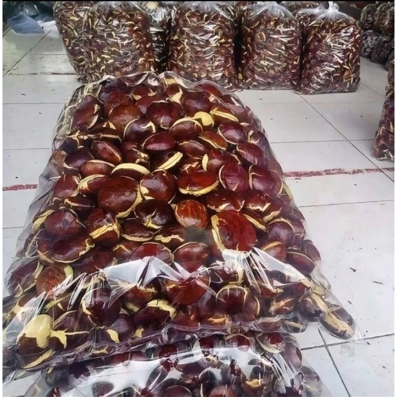 Jual Jengkol, jring, jengki full tua 1kg | Shopee Indonesia